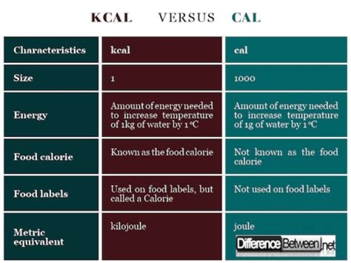 The Ultimate Guide to Understanding Cal vs Kcal: A Comprehensive ...